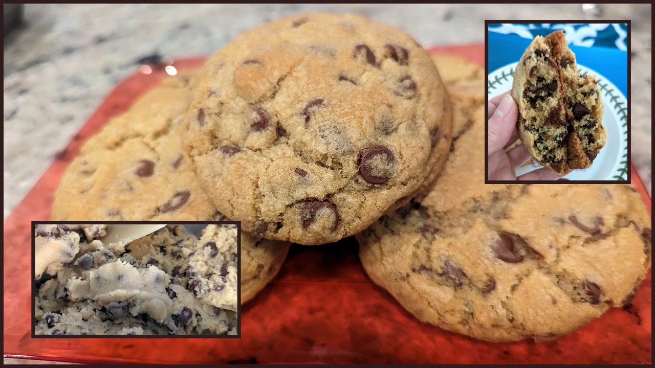 Moldy Chocolate Chips