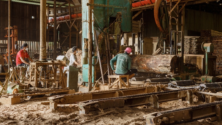 Block of the Week: Planks | Minecraft